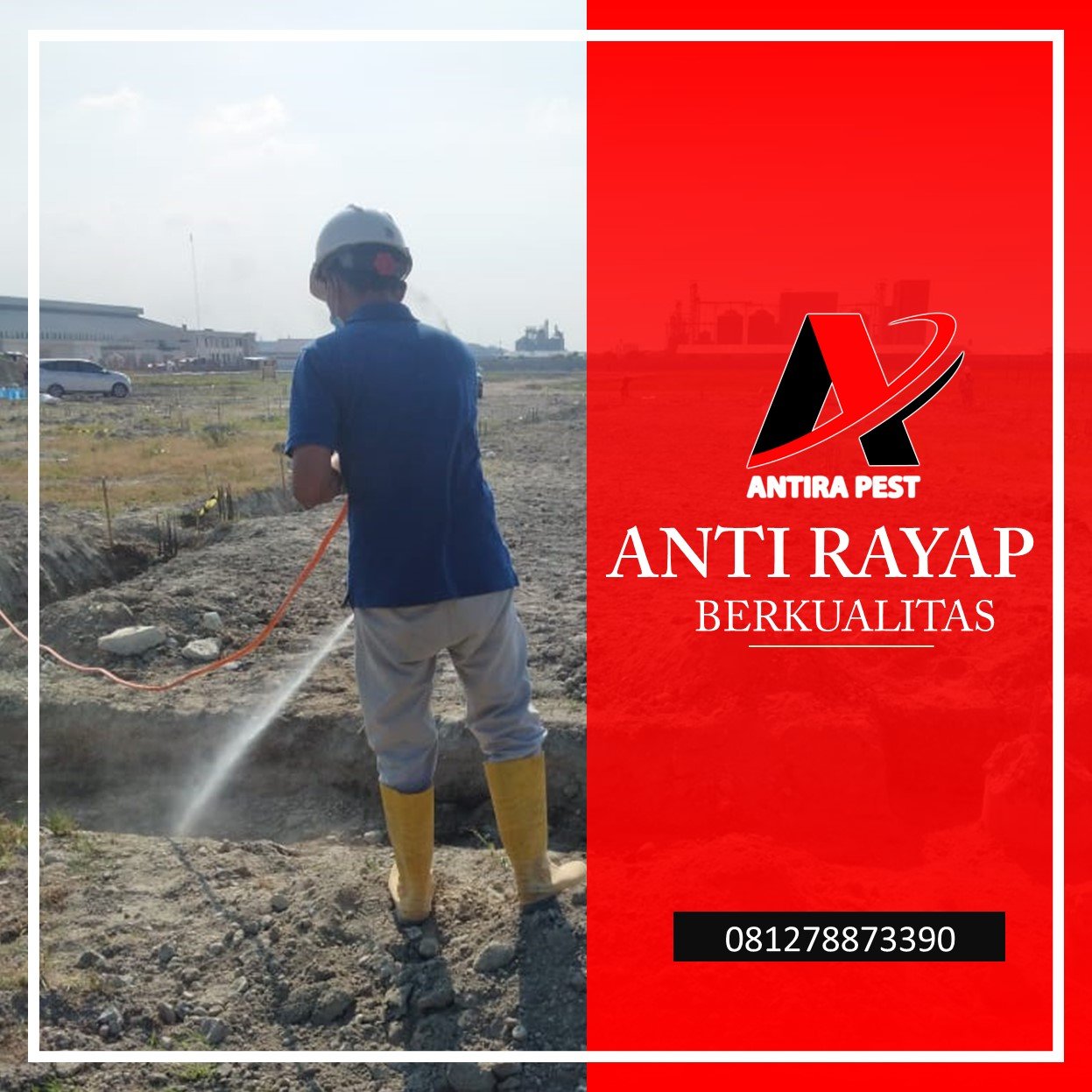 Hub : 081376989031 Anti Rayap Obat di Merdeka Medan